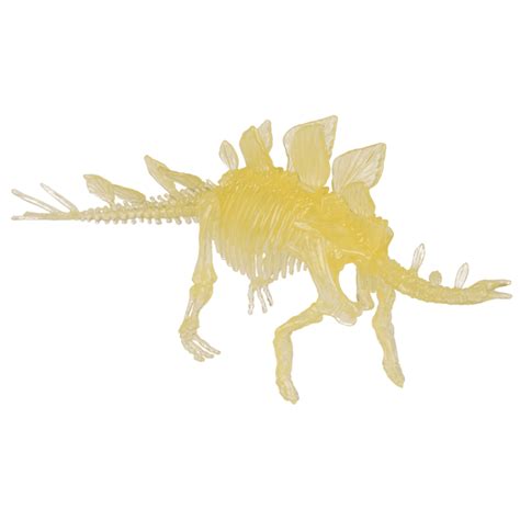 Diy Dinosaur Skeleton Assembly Kit Approx 10 Cm 592194 Out Of The Blue Kg Online Shop