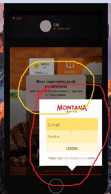 Xamarin Conflit With Systems Popup Of Ios And Rgpluginpopup Stack Overflow