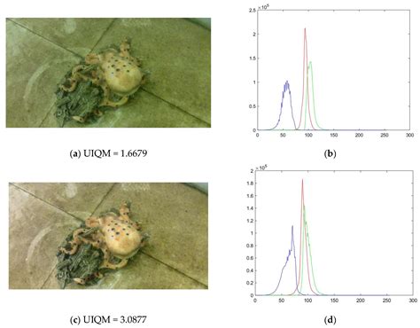 applied sciences free full text uv3d underwater video stream 3d