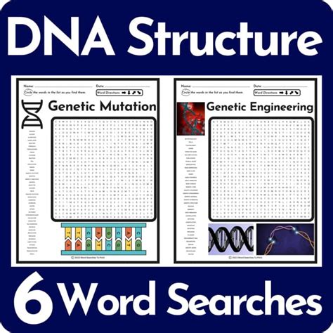 Dna Structure Activity Bundle Replication Genetic Code Gene Editing