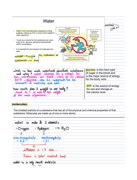 Lect Summary Biochem Helpful Notes The Smallest Particle Of A