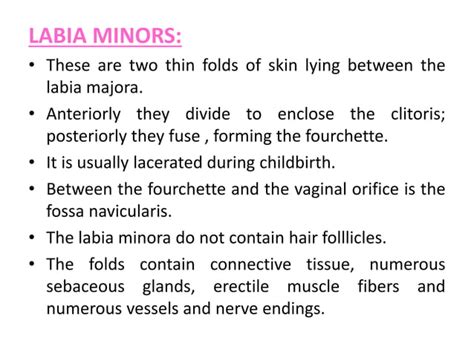 External Genitalia PPTX