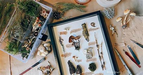 Dry Forage Wall Decor Album On Imgur