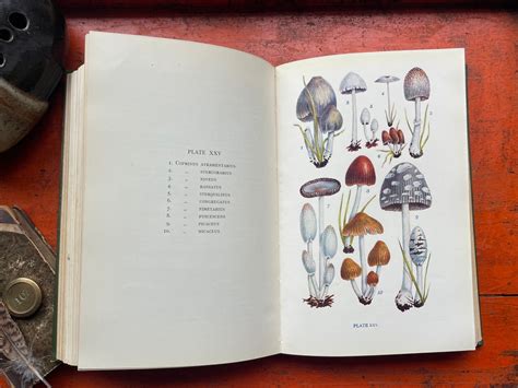 Fungi Book Natural History Book Botanical Illustrations Mushroom Identification Foragers