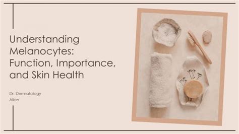 Skin Functions Powerpoint Presentation And Slides Ppt Template Slideteam