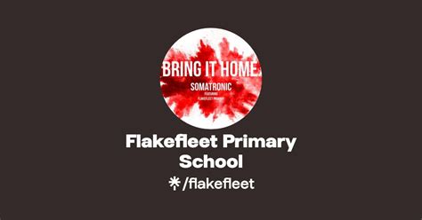 Flakefleet Primary School Facebook Tiktok Linktree