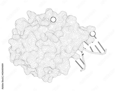 3d Rendering As A Line Drawing Of A Molecule Structural Basis Of A