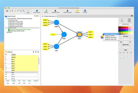 Smartpls 软件 官方授权正版软件平台