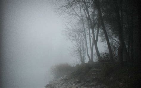 Writing A Metacognition The Crafted Word