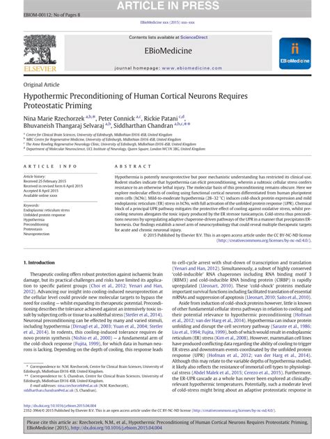 Pdf Hypothermic Preconditioning Of Human Cortical Neurons Requires