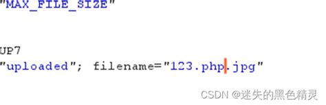 文件上传漏洞实验 通过截取请求绕过前端javascript验证进行文件上传 Csdn博客