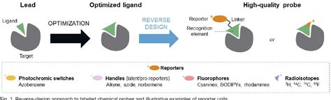 PDF Reverse Design Toward Optimized Labeled Chemical Probes