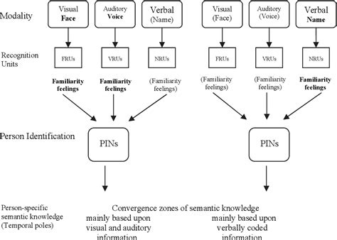 Figure From The Effects Of Right Left Temporal Lobe Lesions On The Recognition Of Familiar