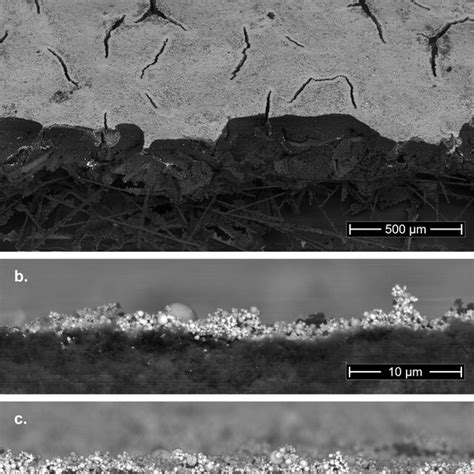 sem micrographs of ag coated electrodes a b before and c after