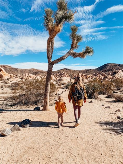 12 Gorgeous Joshua Tree Hikes You Need To Take From Easy To Difficult Destination Daydreamer