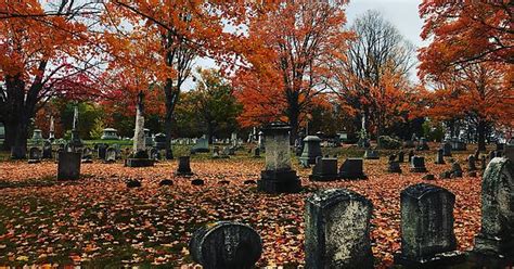 Autumn Album On Imgur