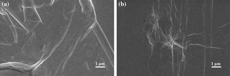 Sem Images Representing A Wrinkled Appearance With Several Folds A Go