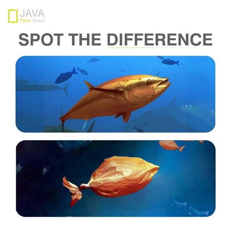 Ashok Java On Linkedin This Is A Wake Up Call For All To Move To Sustainable Packaging For Our…