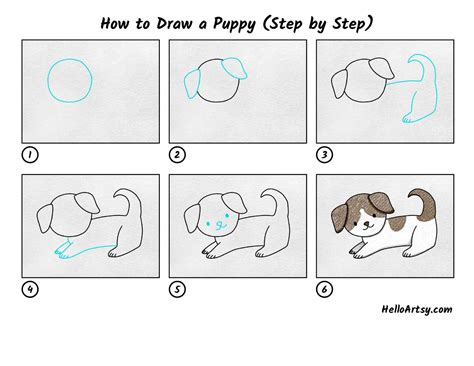 How To Draw A Realistic Puppy Step By Step For Beginners Design Talk