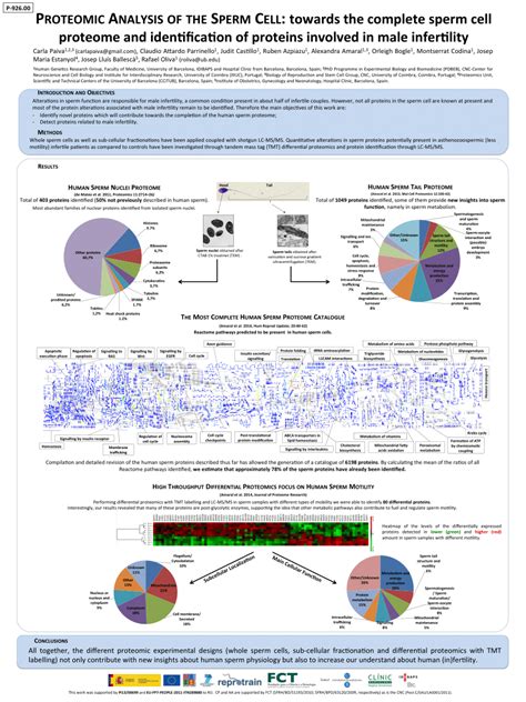 Pdf Proteomic Analysis Of The Sperm Cell Towards The Complete Sperm