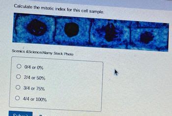 Answered Calculate The Mitotic Index For This Cell Sample Scenics