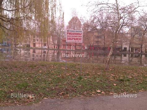 Нахални рибари изловиха шараните от езерото в центъра на Монтана