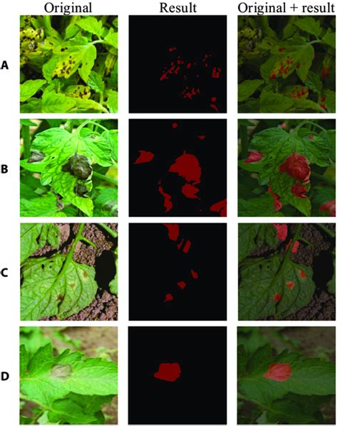 An Effective Image Based Tomato Leaf Disease Segmentation Method Using Mc Unet Pmc