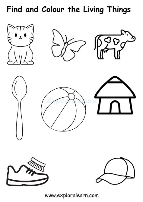 Black White And Non Living Things Distinguish Between Living And