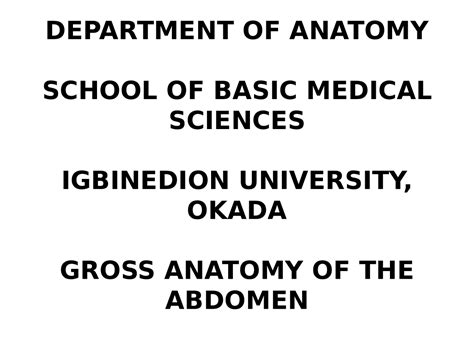 Gross Anatomy Of The Abdomen Lecture Notes Anatomy Docsity