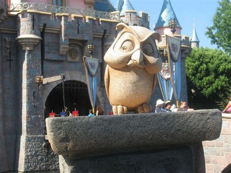 Sleeping Beauty Owl At Disneyland Disneyland Sleeping Beauty Owl