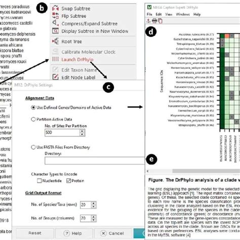 Pdf Mega12 Molecular Evolutionary Genetic Analysis Version 12 For