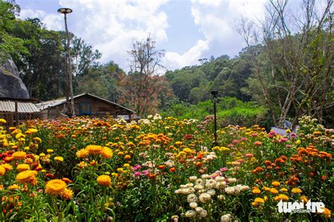 Làng K long K lanh phim trường Lật mặt 7 có gì Tuổi Trẻ Online