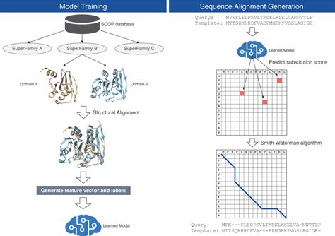 Figure 1 From Sequence Alignment Using Machine Learning For Accurate Template Based Protein