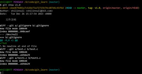 Git远程操作，推送【push】，拉取【pull】，忽略特殊文件，配置别名，标签管理git Pull 忽略文件 Csdn博客