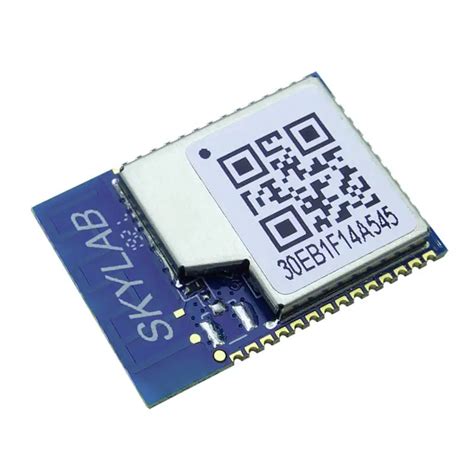 What Are The Applications Of Esp8266 Wifi Module Skylab