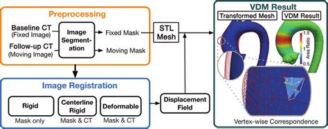 Simplified Schematic Overview Of The Steps Involved In The Vascular
