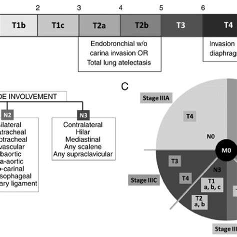 Tnm Classification Of Nsclc The Tnm Eighth Edition 32 For Lung Download Scientific Diagram