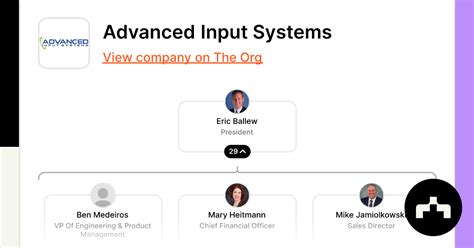 Advanced Input Systems The Org