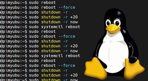How To Reboot Linux Pi My Life Up