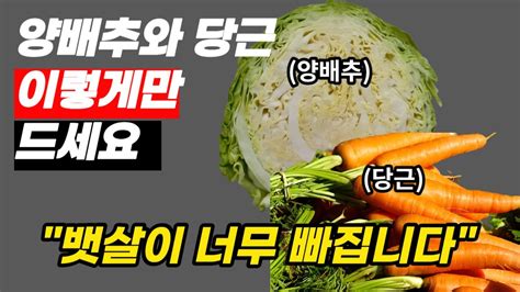 양배추 당근 이렇게 먹었더니 뱃살이 너무 빠져 고민입니다 양배추 당근 계란 Youtube