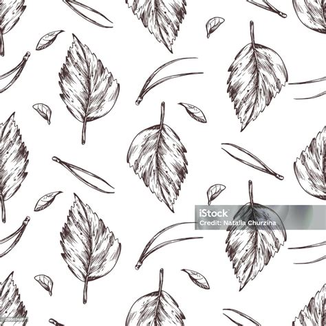 노랗게 가을 자작나무 잎과 솔잎 그래픽 일러스트 갈색 잉크로 그린 손 라인 아트 모노크롬 완벽 한 패턴 숲 수확 자연을 주제로 한 간단한 패턴 10월에 대한 스톡 벡터 아트