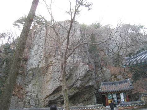 창조와 기회의 문