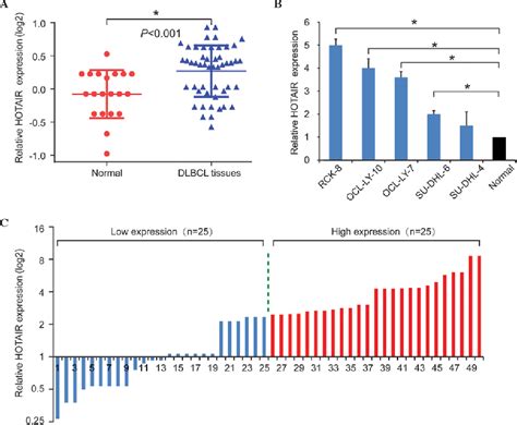 Figure 1 From Elevated Rna Expression Of Long Non Coding Hotair