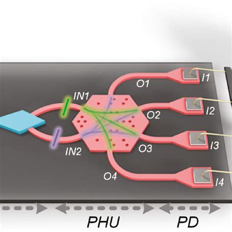 Schematic Of The Polarization Analyzer It Consists Of A Polarization