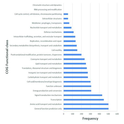 Frequencies Of Functional Cog Classes Download Scientific Diagram
