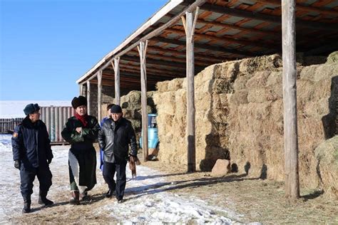 ЗУДТАЙ 11 СУМАНД ӨВС ТЭЖЭЭЛ ХҮРГЭЖ ӨГЛӨӨ