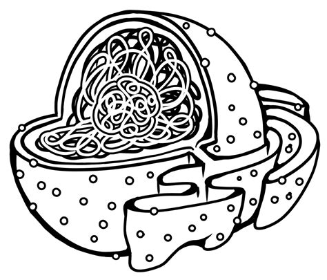 Download Nucleus Science Cell Royalty Free Stock Illustration Image