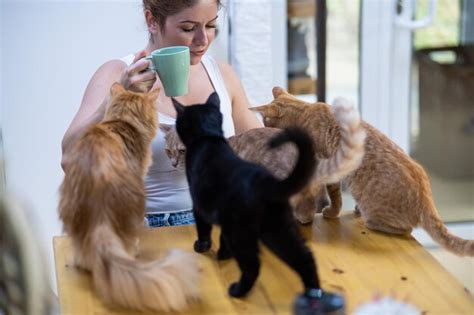 Premium Photo Side View Of Woman Using Mobile Phone