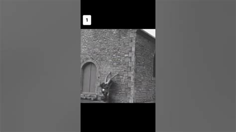 ویدیو های لو رفته از دارک وب Shorts Youtube