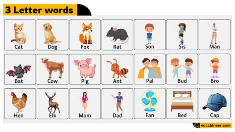 3 Letter Words List Of 2200 Three Letter Words Examples